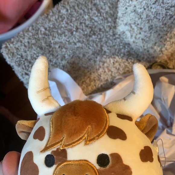 Squishmallows | Toys | Defective Alonzo 5 In Squishmallow Of 1 Defect ...